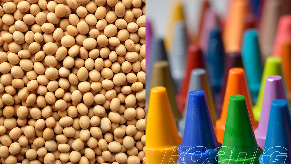 Celebrating National Ag Week: Fun Facts That’ll Make You Smile!